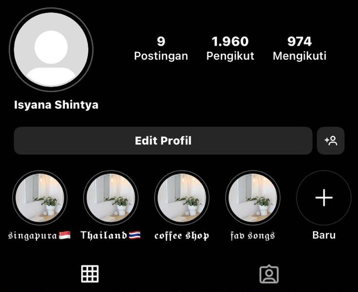 Cara Membuat Cover Highlight Instagram (2 Metode): Meningkatkan ...